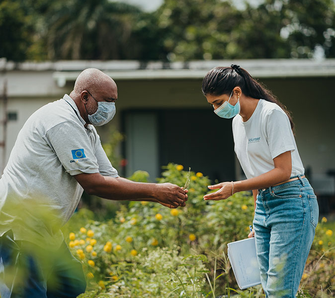 Work at ENL, a leading business group in Mauritius